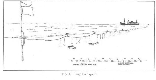 Collections Catch of the Week - Salmon Longline Gear - Gulf of Georgia