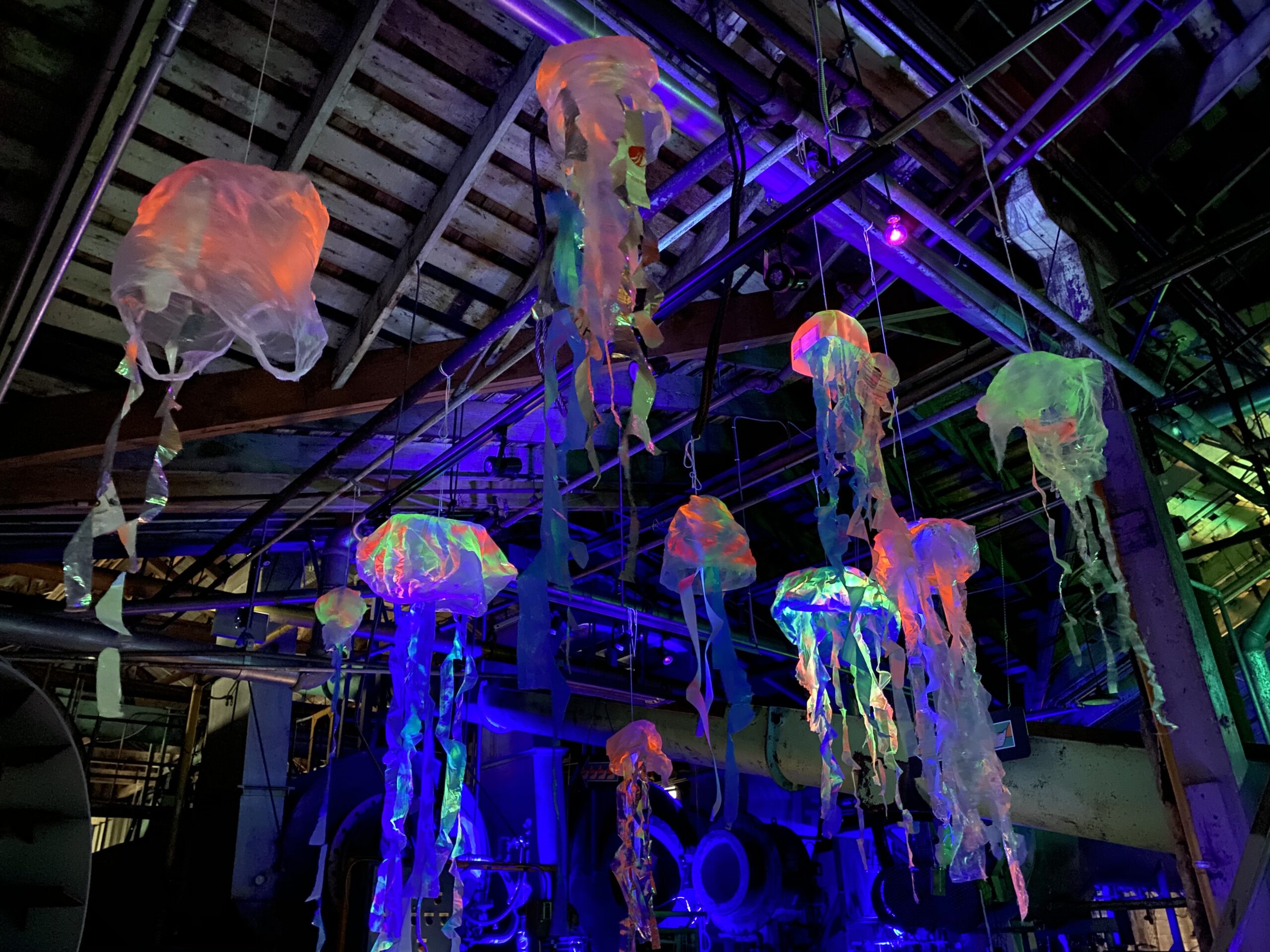 Halloween - Gulf of Georgia Cannery National Historic Site | Steveston BC