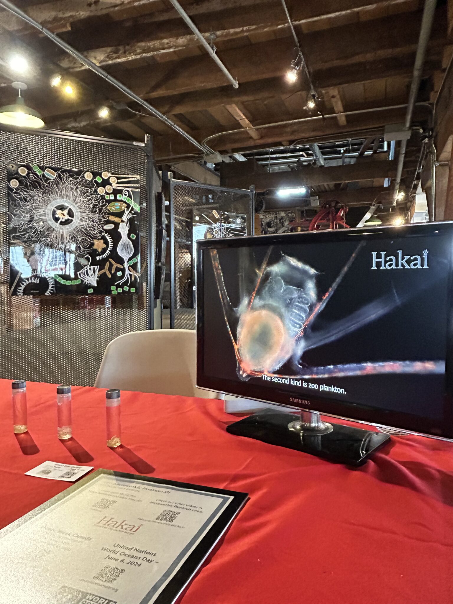 The Importance of Plankton - Art Exhibit by Susan Taylor - Gulf of Georgia