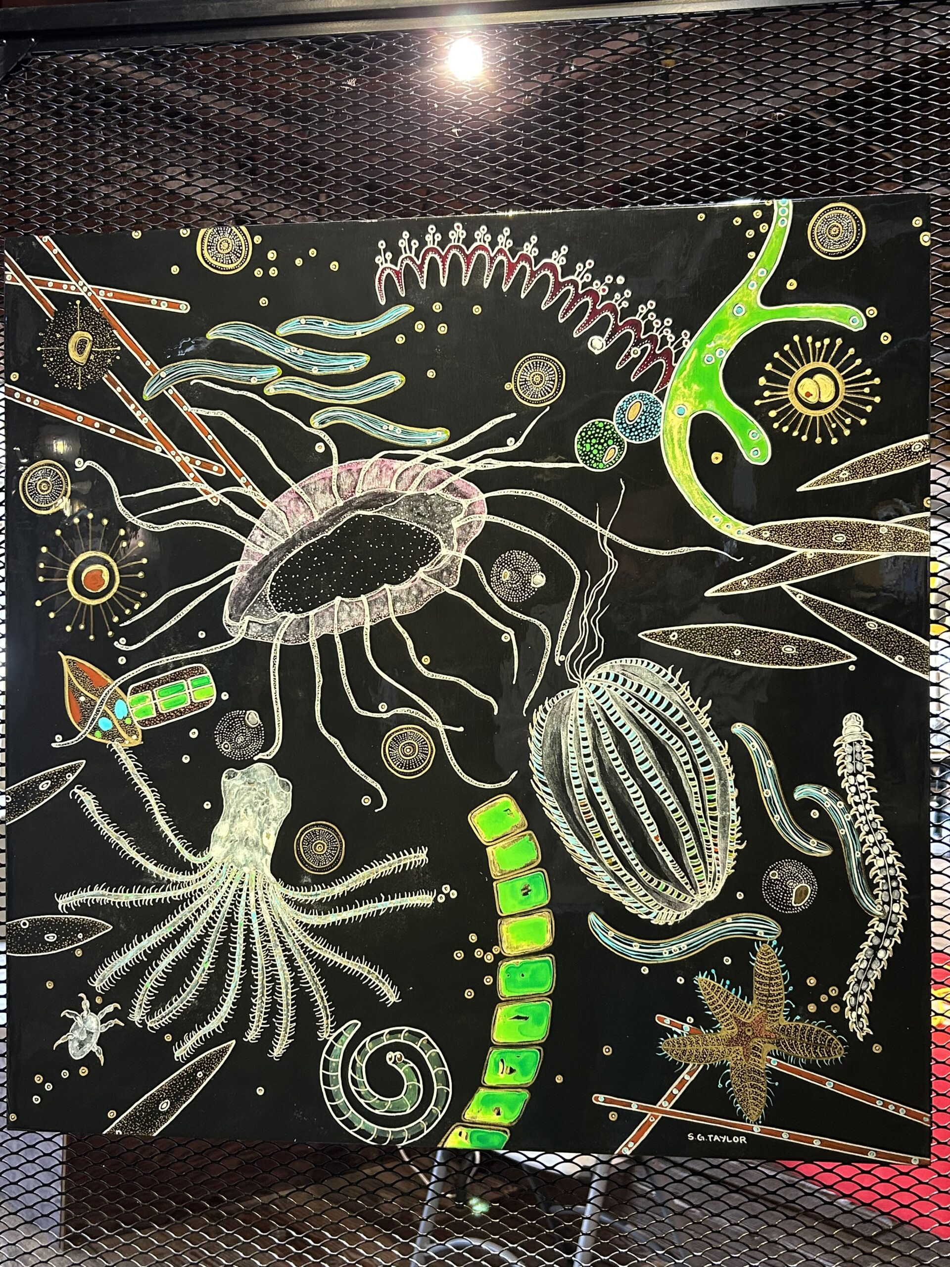 The Importance of Plankton - Art Exhibit by Susan Taylor - Gulf of Georgia